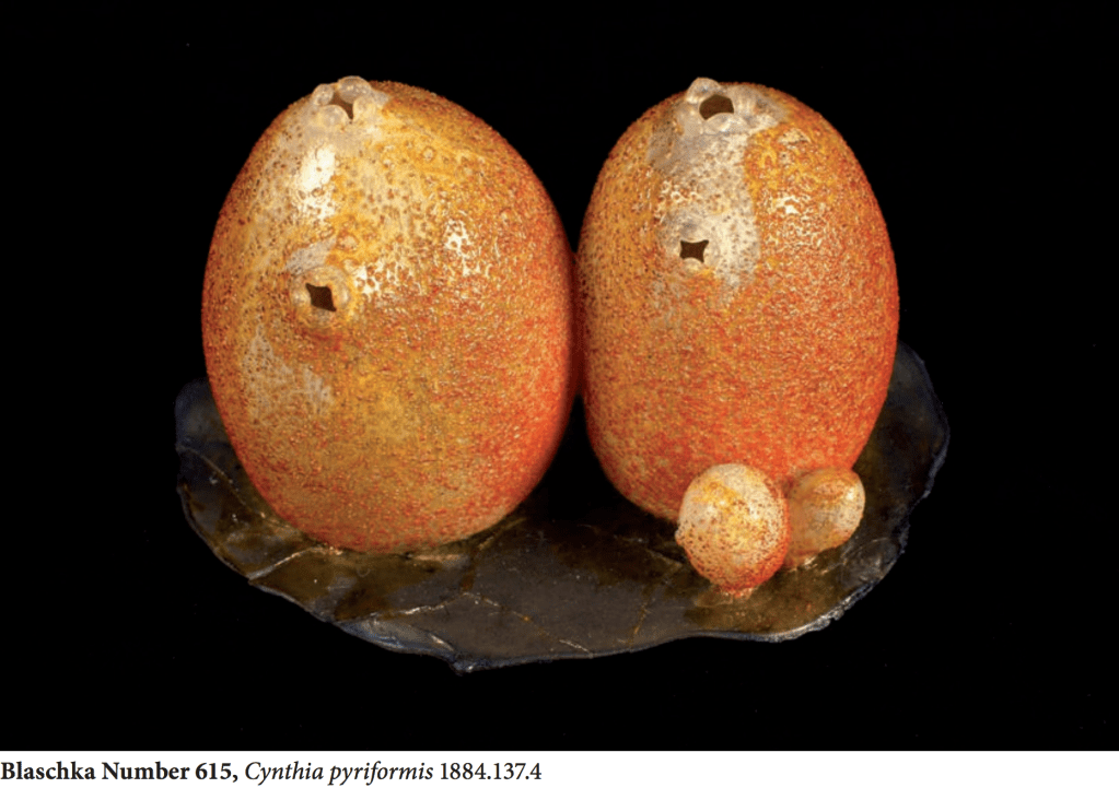 Unbelievable animals made out of glass – The Helm Lab Blog