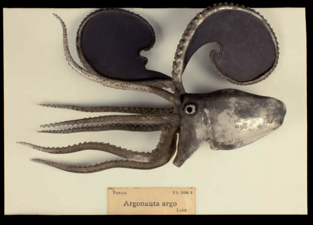 Unbelievable animals made out of glass – The Helm Lab Blog